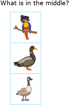 IXL - Top, middle and bottom (Kindergarten 2 maths practice)