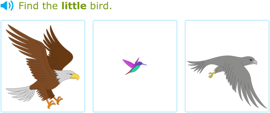 IXL - Compare pictures using adjectives (Primary 1 English language ...