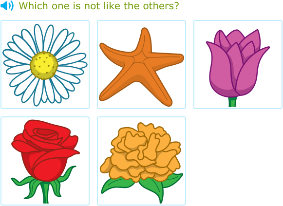 IXL - Which one is not like the others? (Kindergarten 2 English ...